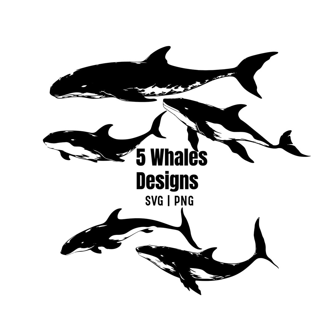 5 Whale SVG Bundle,whale Cut File,fin Whale Svg,whale Png,whale Vector ...