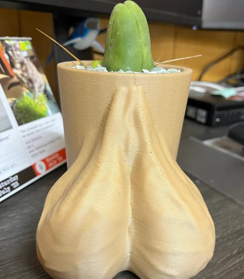 Nude Pencil Holder Nude Flower Pot Setup Etsy