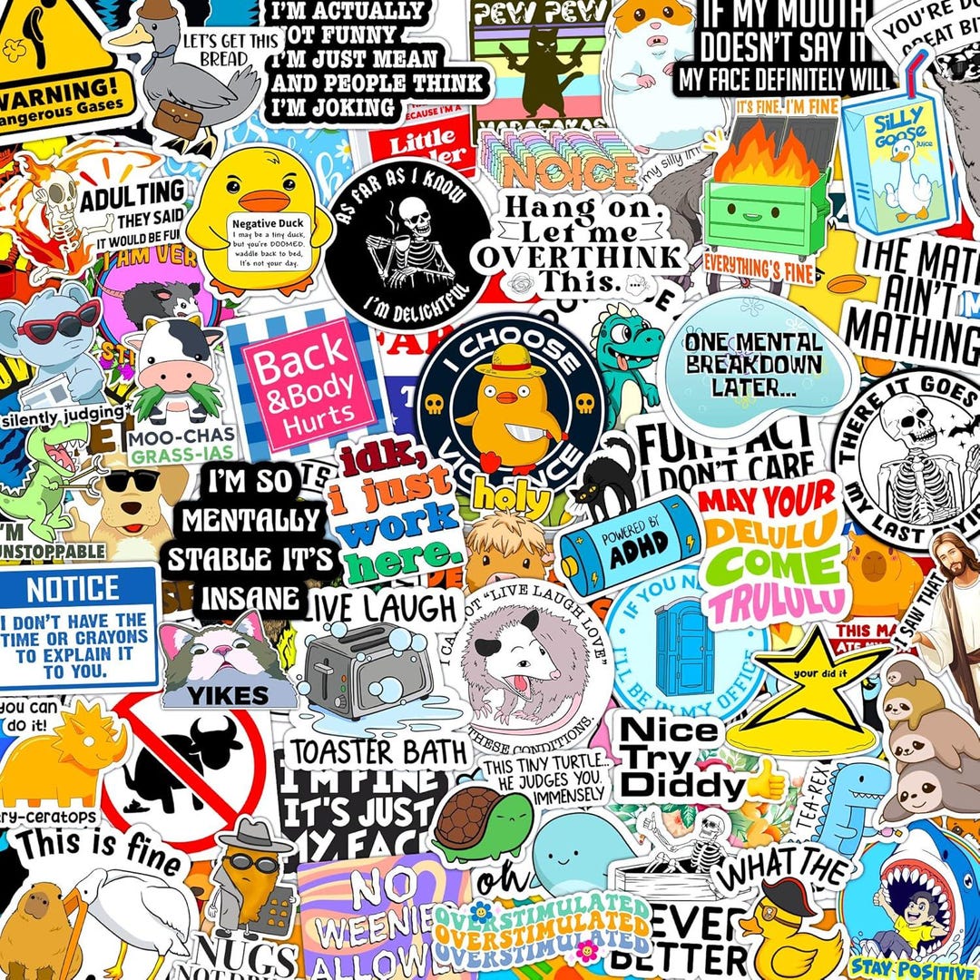 300PCS Funny Dirty Meme Stickers, Waterproof Sarcastic Vinyl Decals - Etsy