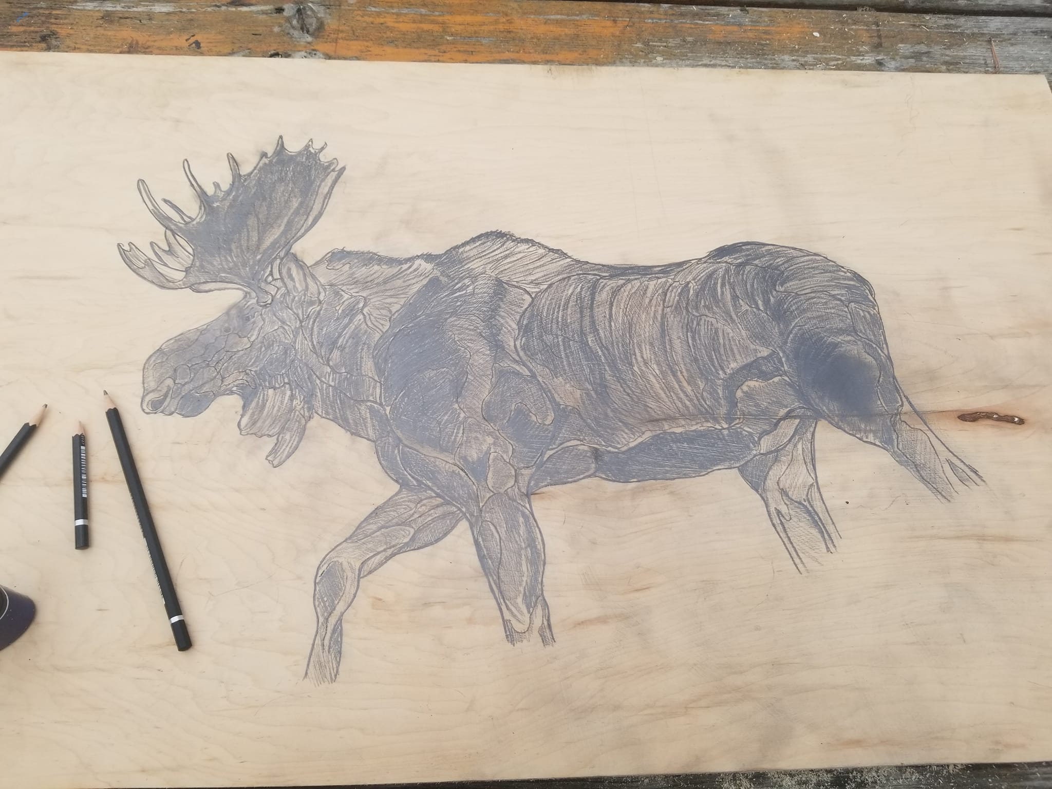 Bull Moose Mosaic,tile Mosaic Artwork, Cut Style Mosaic Moose Wall ...