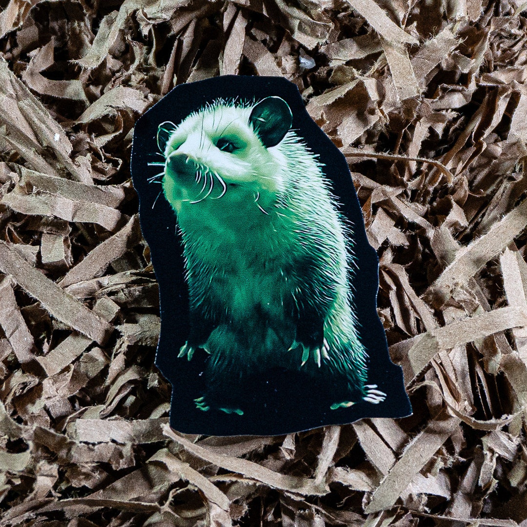Opossum Green Goblin Vinyl Sticker - 1 1/2" X 2 3/4 - Etsy