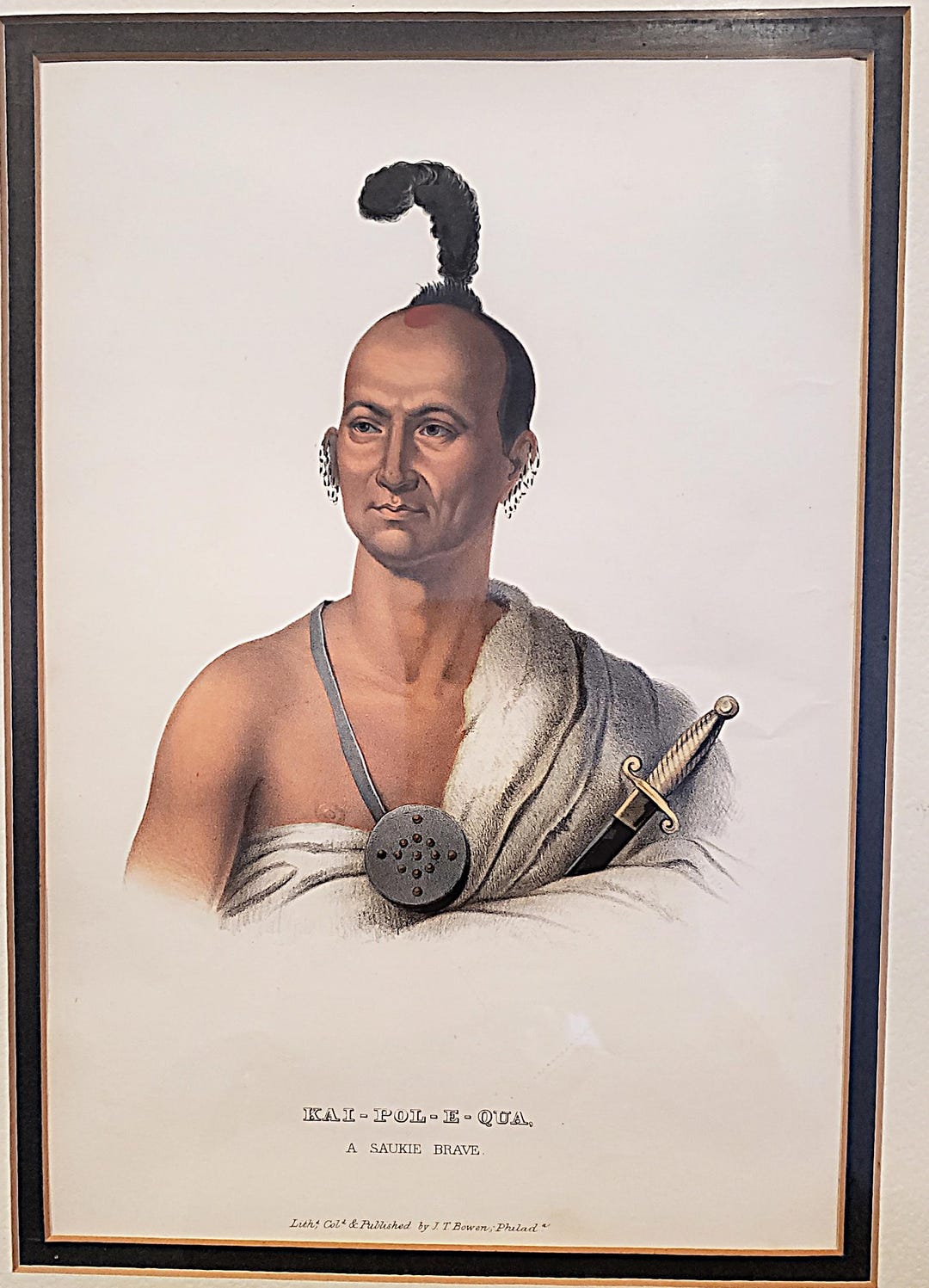 Framed Antique Charles Bird King Hand Colored C1840 Print "kai-pol-e ...