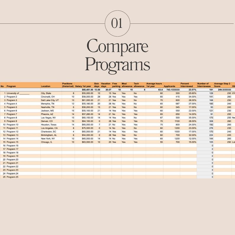 Ultimate Residency Program Ranking Spreadsheet - Etsy