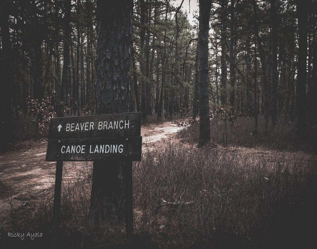 Pine Barrens Trail Digital Download-south Jersey-pines-canoe-kayak ...