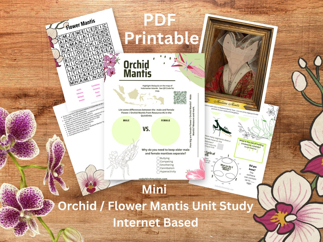 Flower Mantis Unit Study. Easy to Plan Digital Download PDF Printable ...