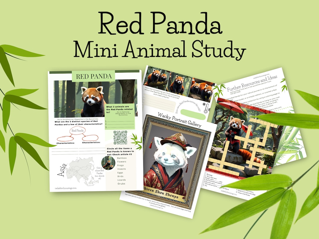 Red Panda Mini Unit Study, Animal Research, Resource List (digital ...