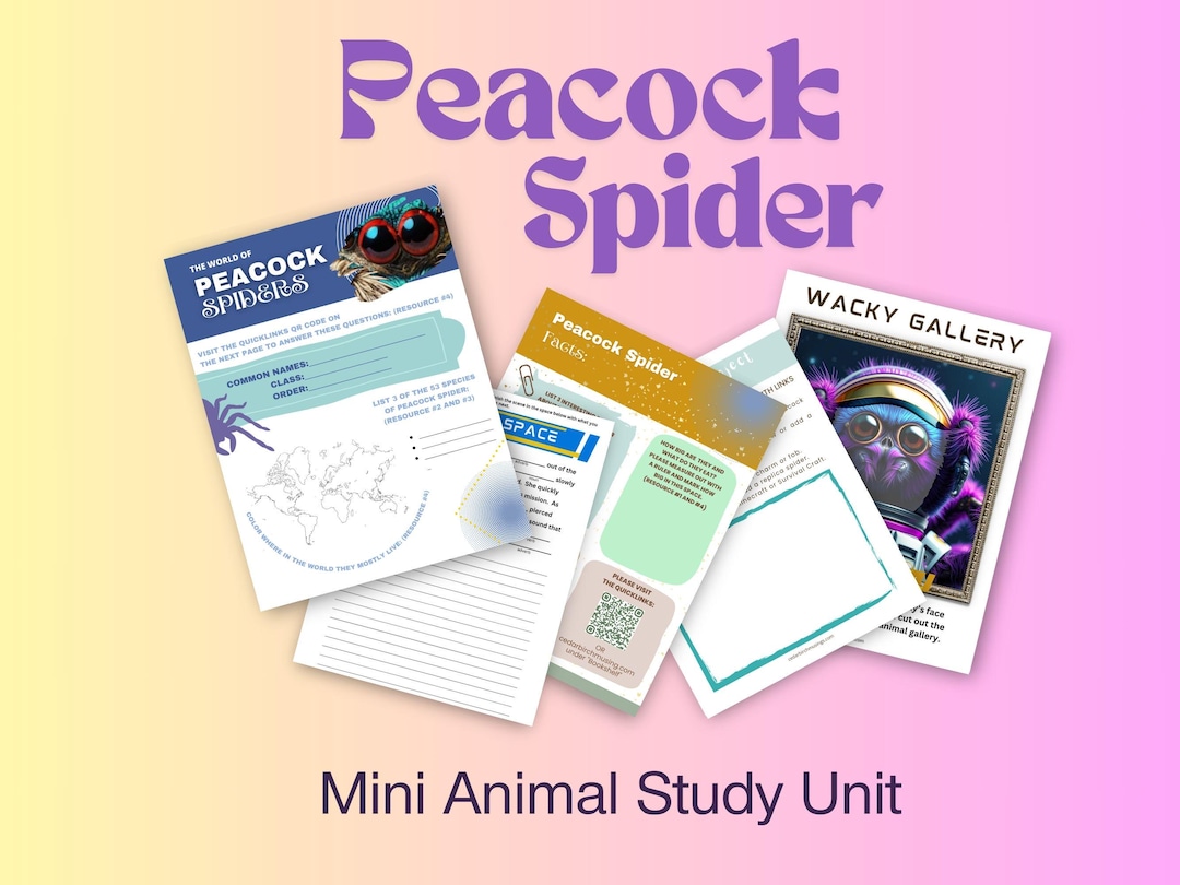 Peacock Spider Mini Unit Study. Easy to Plan PDF Digital Download ...