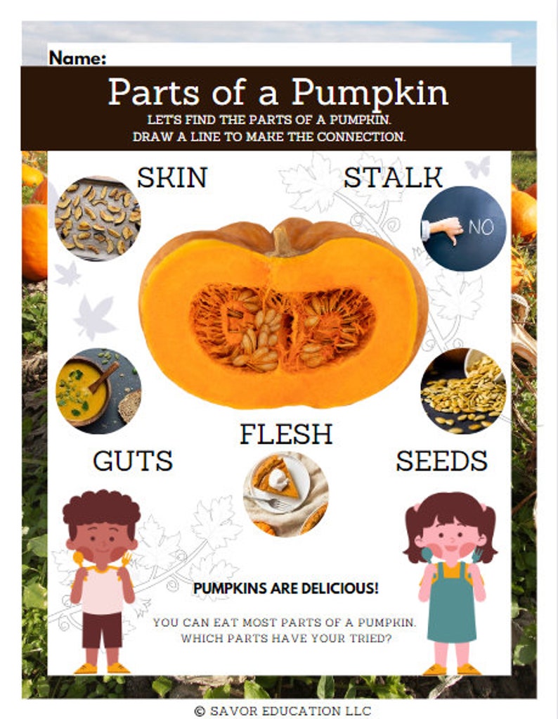 Pumpkin Parts & Lifecycle Activity Sheet - Etsy