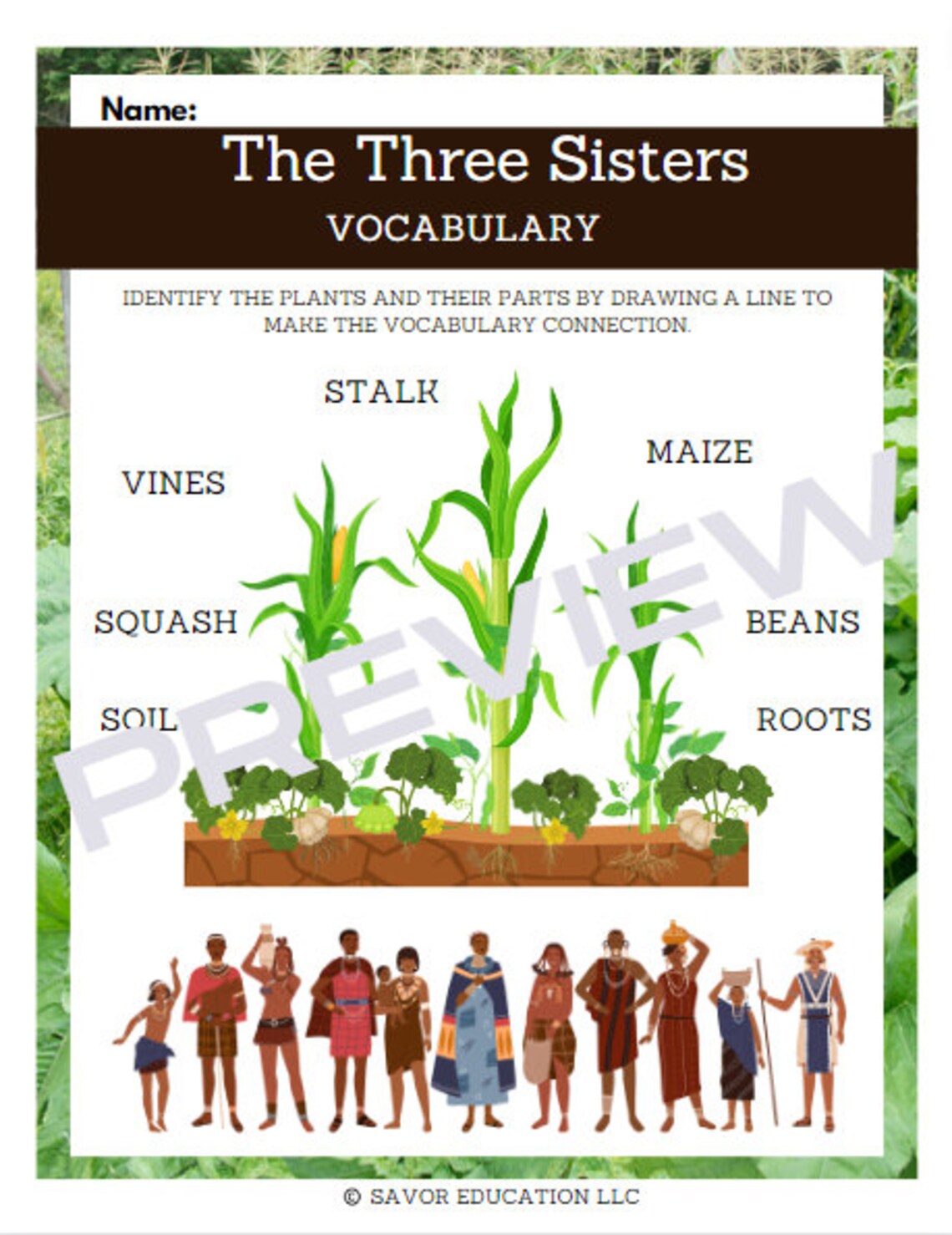 The Three Sisters Indigenous Agriculture Reading Comprehension - Etsy ...