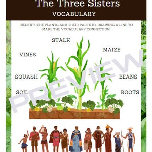 The Three Sisters - Indigenous Agriculture Reading Comprehension - Etsy
