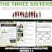 The Three Sisters - Indigenous Agriculture Reading Comprehension - Etsy