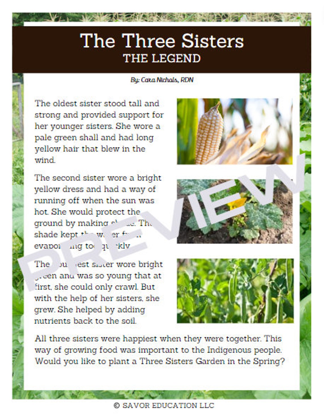 The Three Sisters Indigenous Agriculture Reading Comprehension - Etsy ...