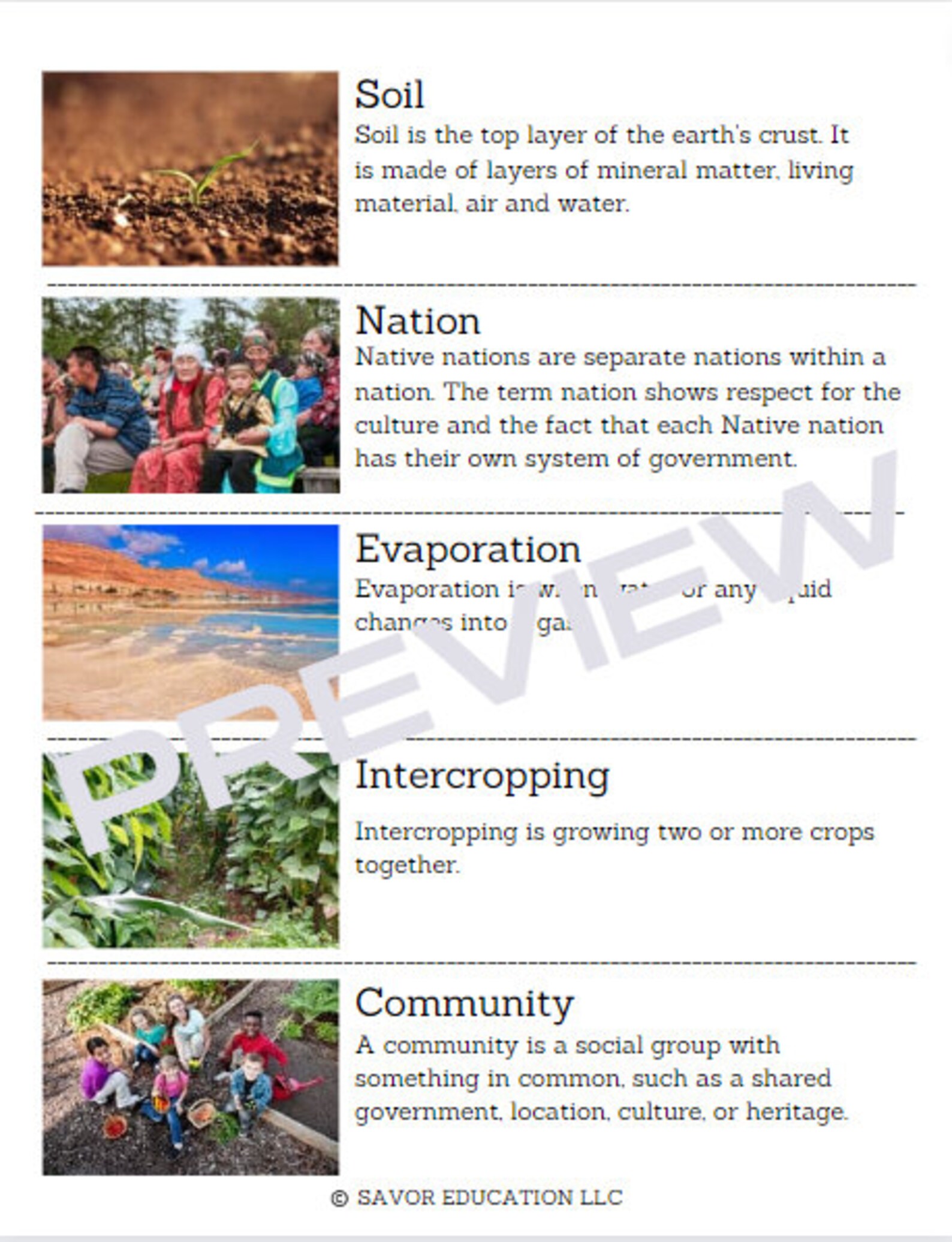 The Three Sisters - Indigenous Agriculture Reading Comprehension - Etsy