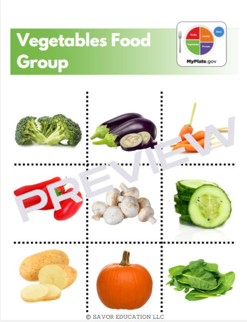 Food Group Sort & Match Activity - Etsy