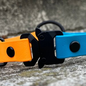 Custom Biothane Quick Release E-collar Straps 3/4 - Etsy