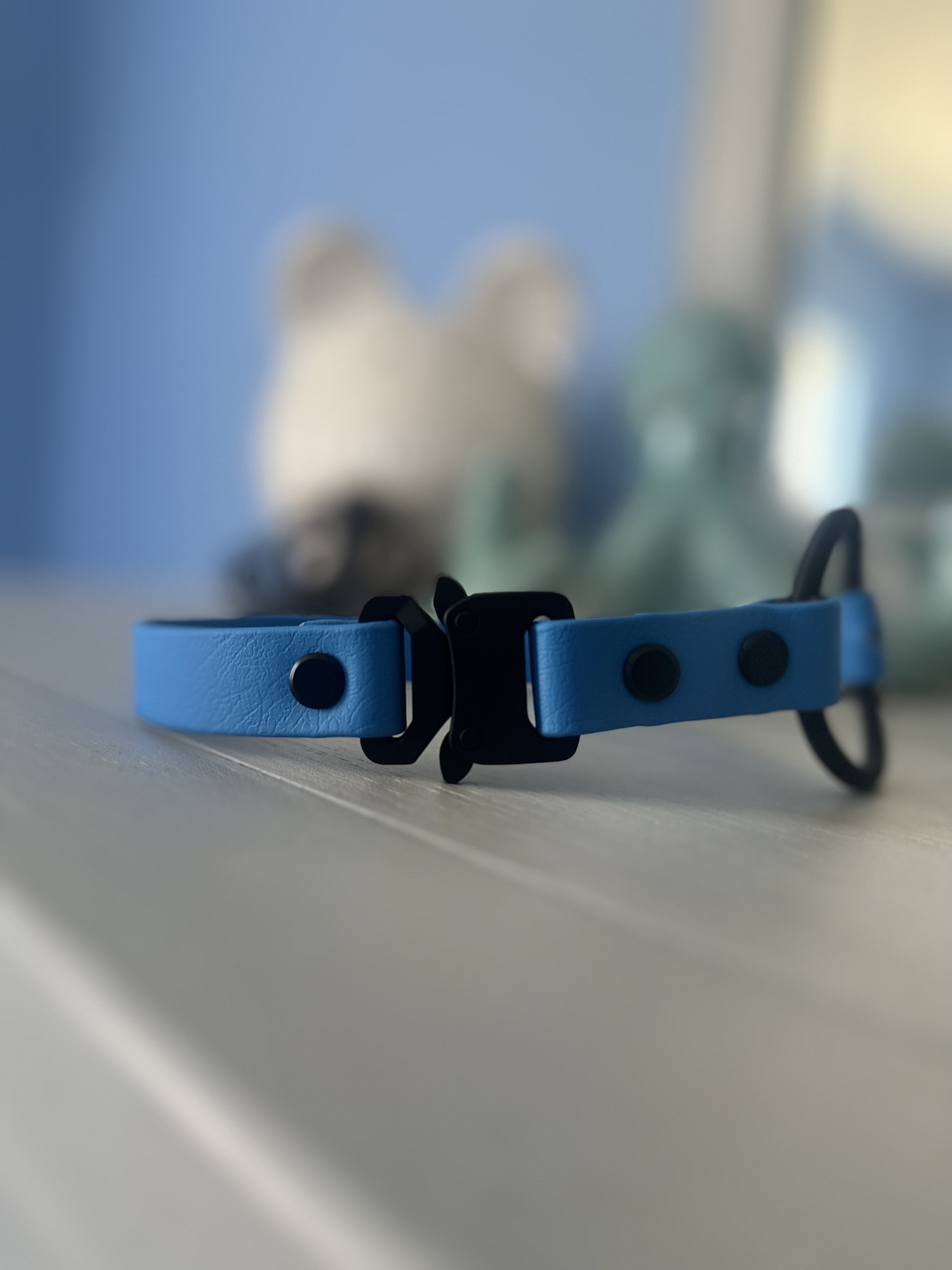 Quick Release 1 E-collar Biothane Strap - Etsy