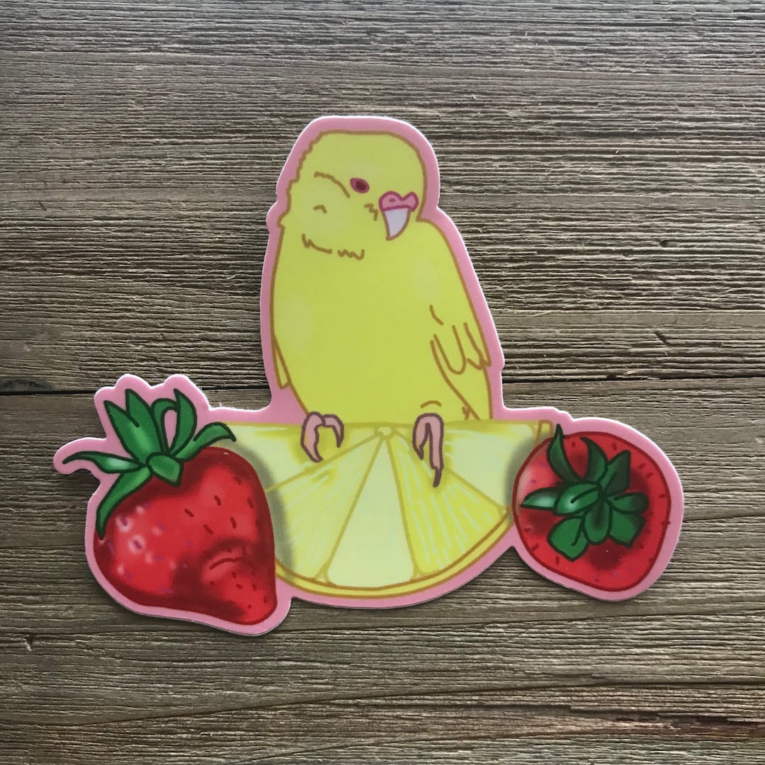 Pink Lemonade Budgie Parakeet Sticker Albino Parakeet Vinyl Satin ...
