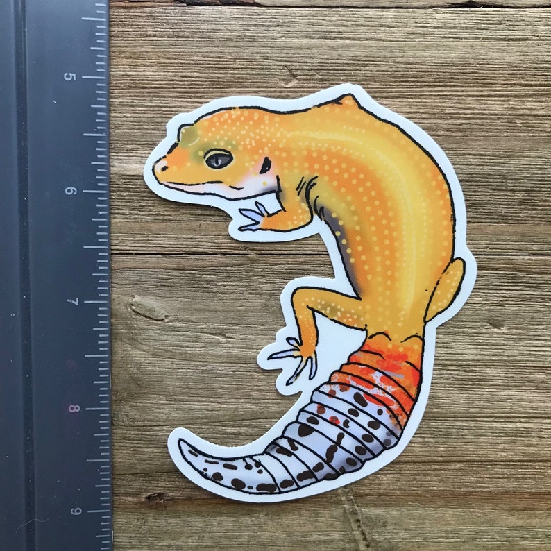 Leopard Gecko Carrot Tail Morph Sticker Cute Reptile/lizard - Etsy