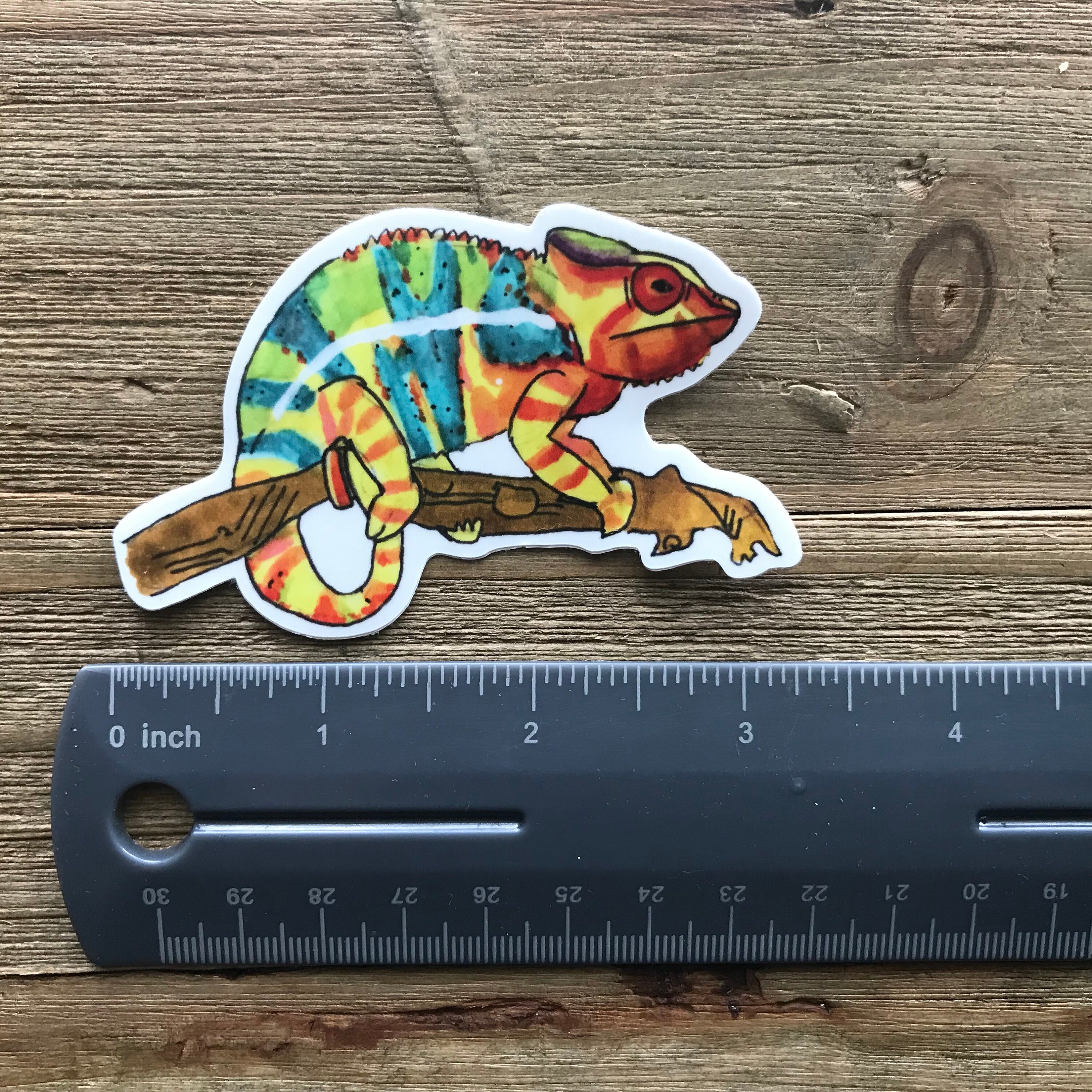 Panther Chameleon Sticker Decal Rainbow Chameleon Cute - Etsy