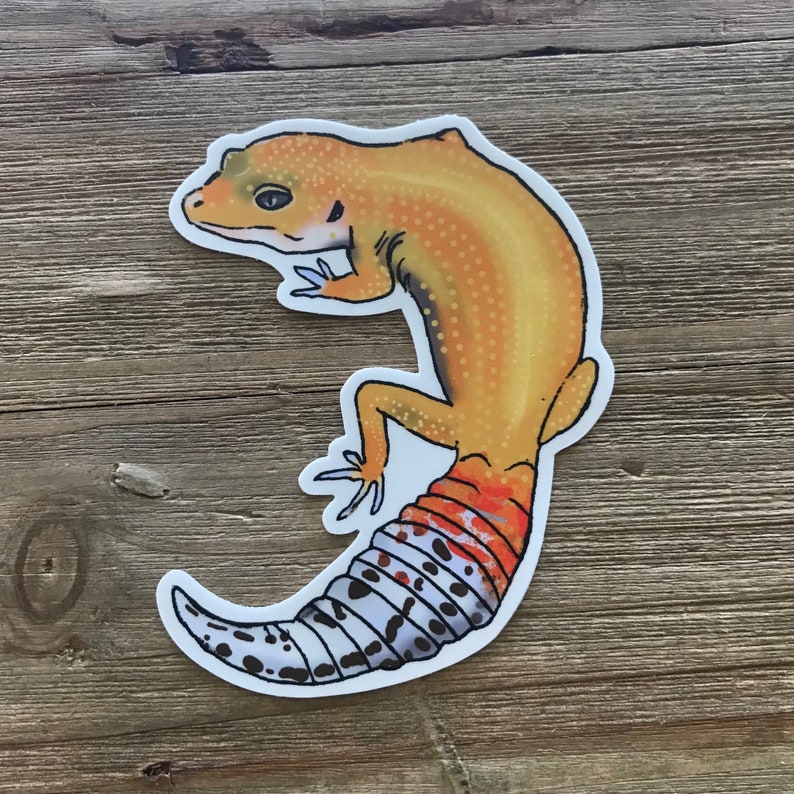 Leopard Gecko Carrot Tail Morph Sticker Cute Reptile/lizard - Etsy
