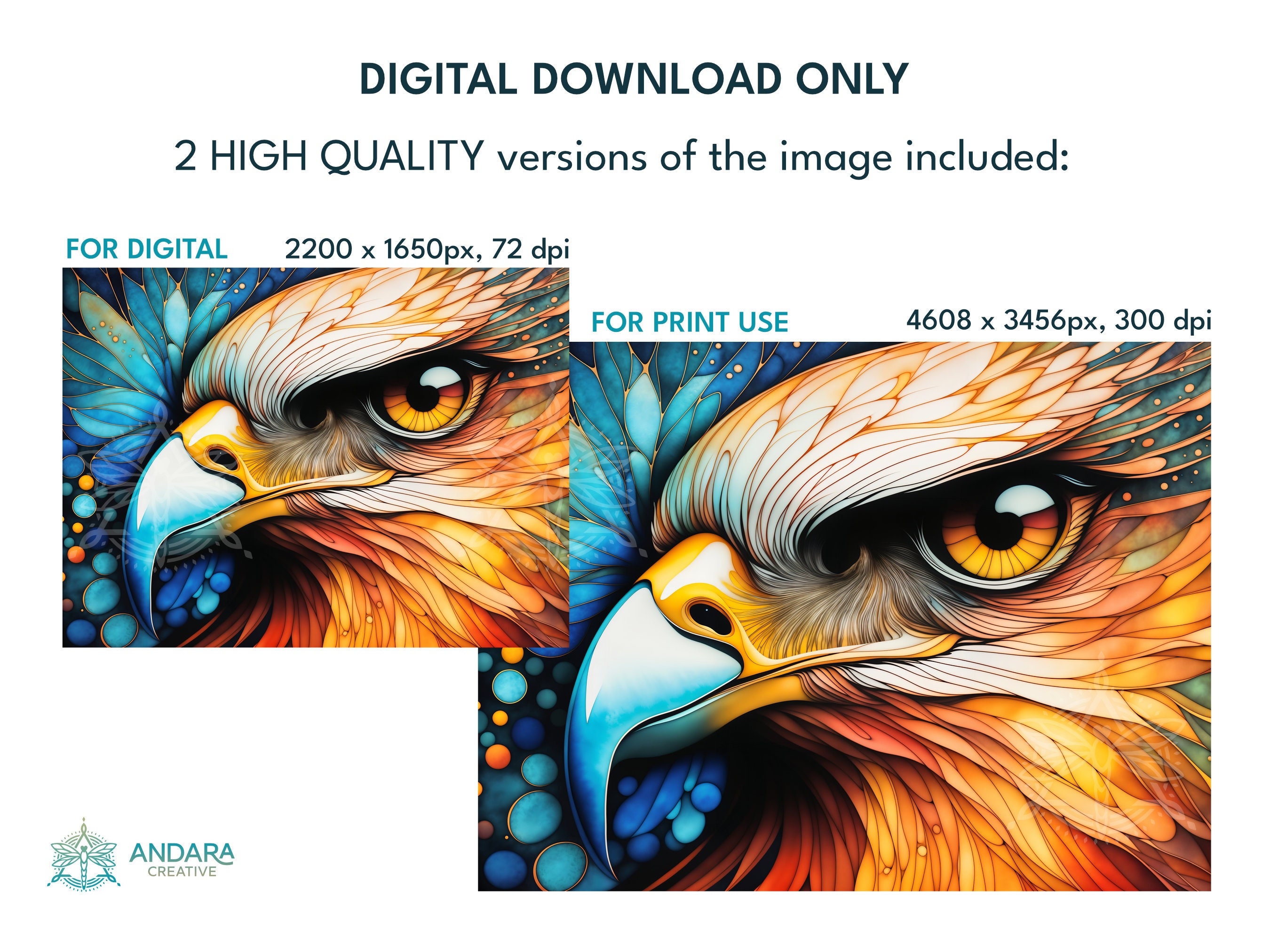 Closeup Hawk Artwork, Bird of Prey Image, Animal Artistic Stock Image ...