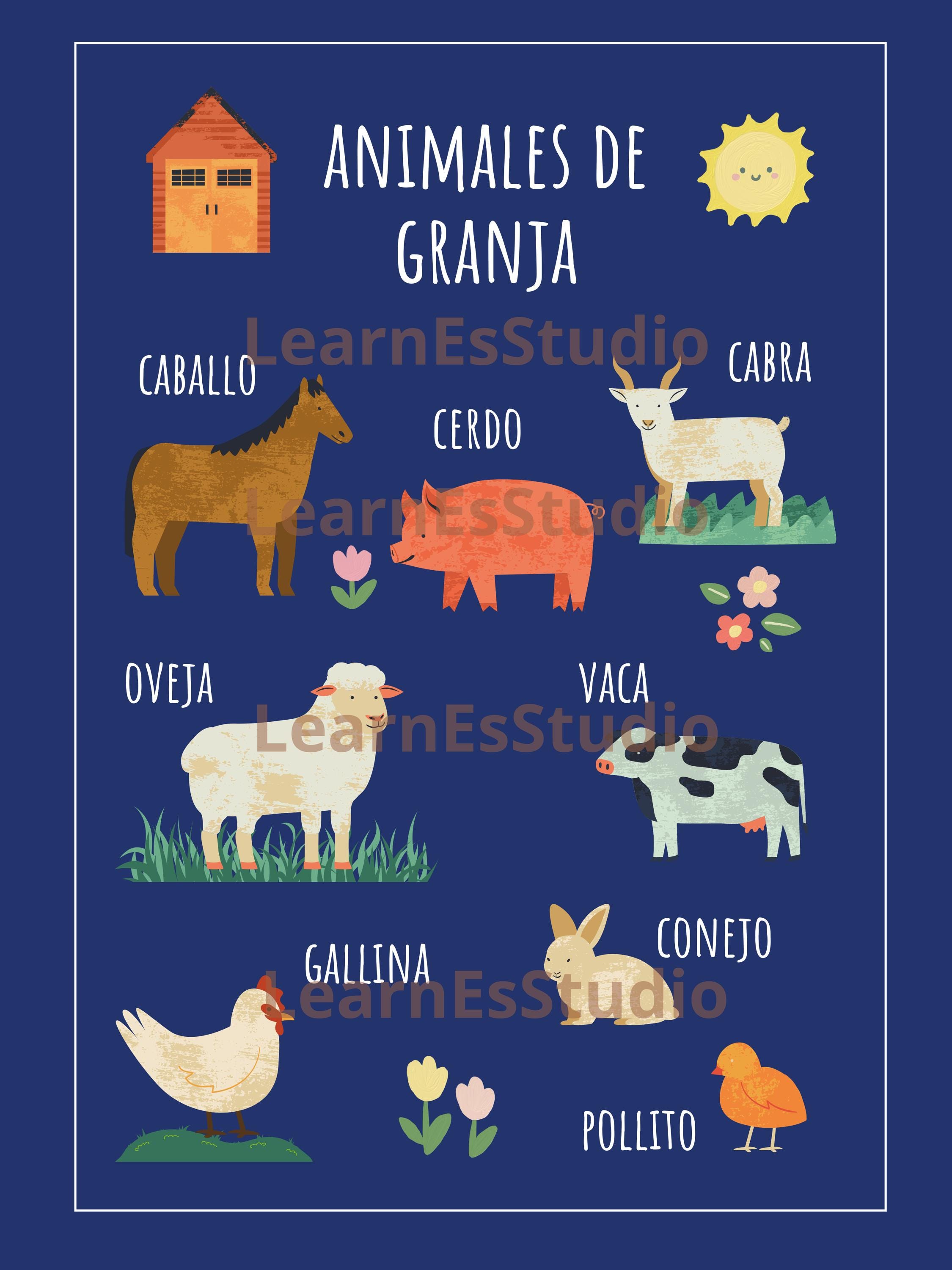 Animales Poster Bundle Español - Etsy