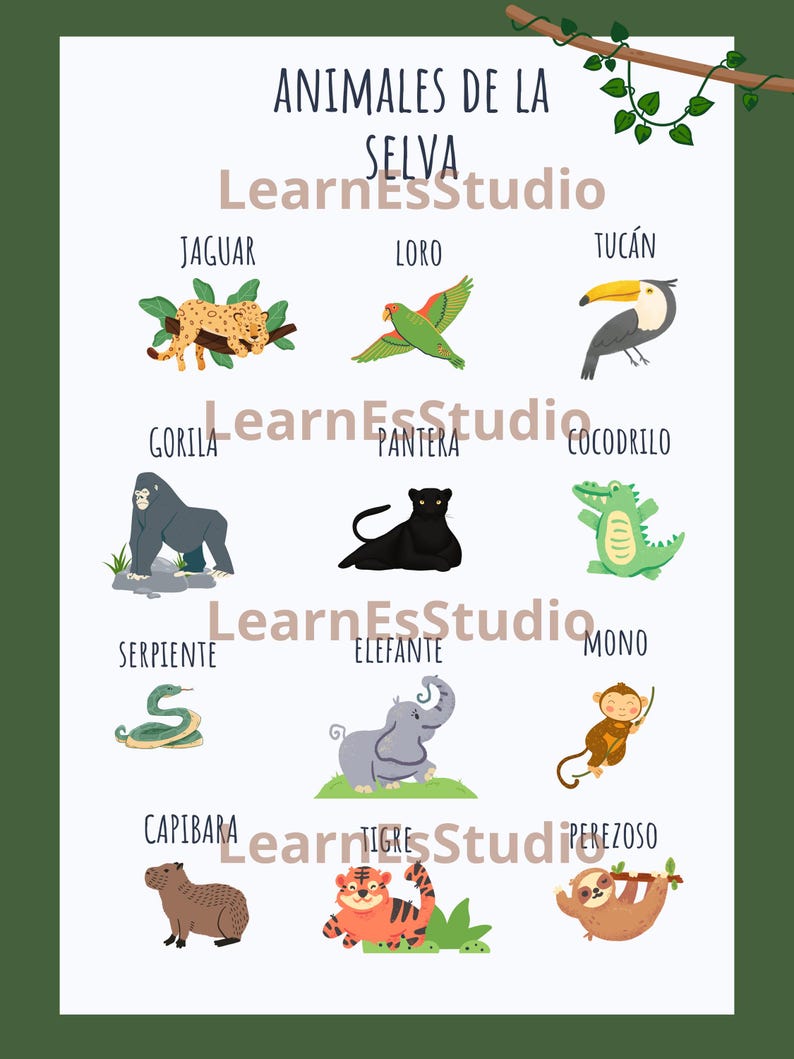 Animales Poster Bundle Español - Etsy