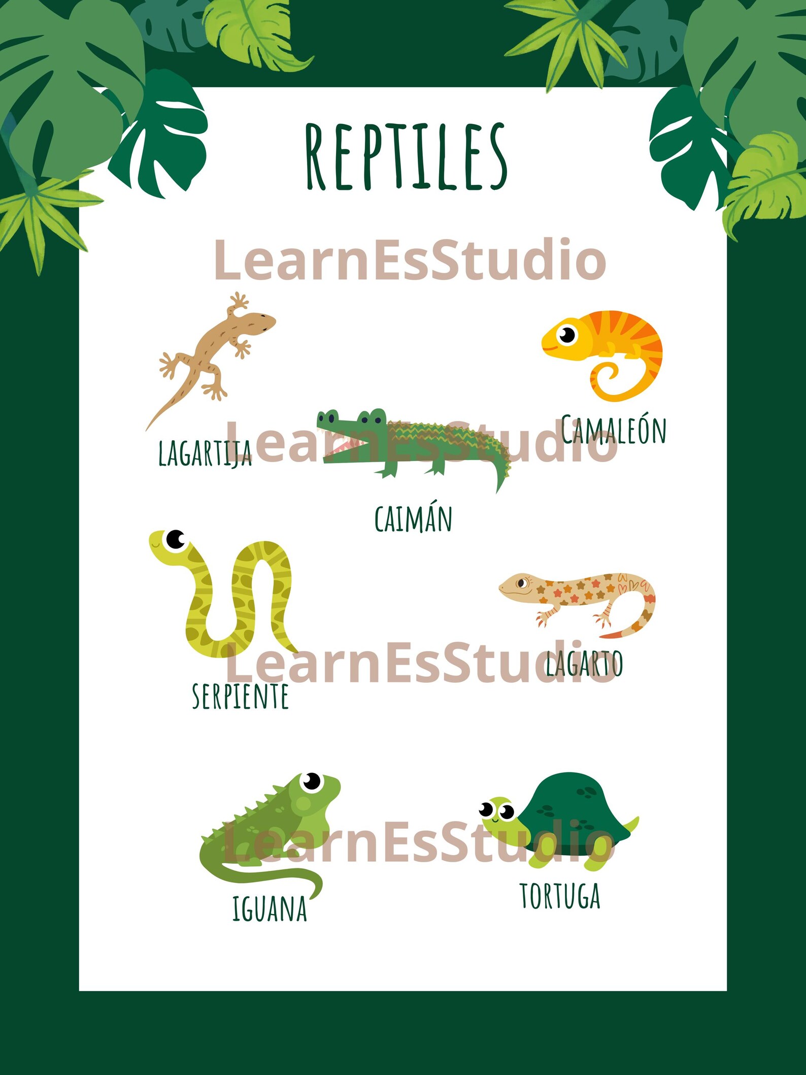 Animales Poster Bundle Español - Etsy