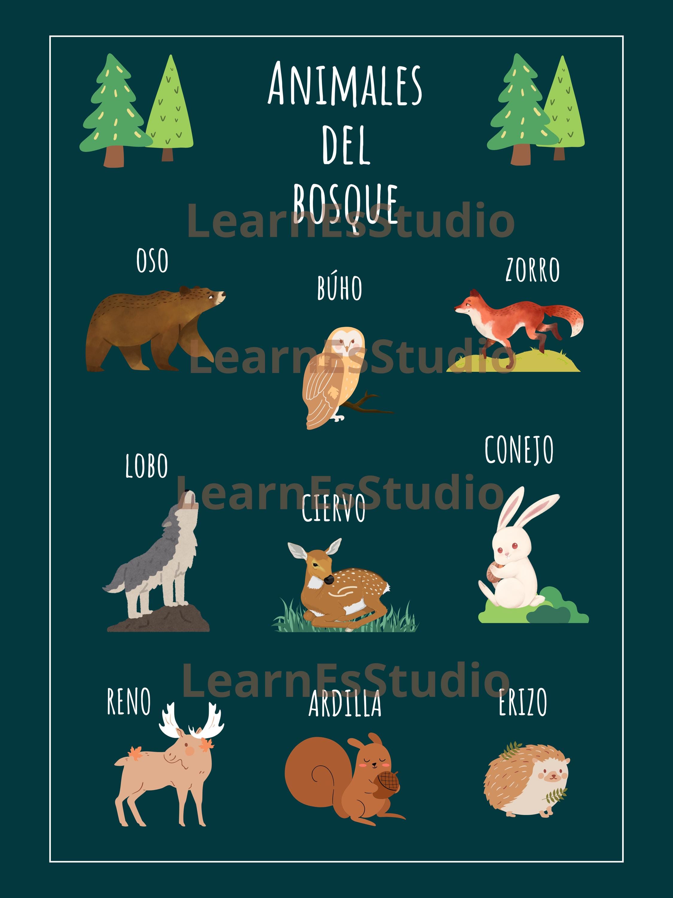 Animales Poster Bundle Español - Etsy