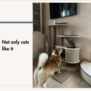 Modern Cat Tree: Sisal Scratching Post, Velour Beds - Etsy