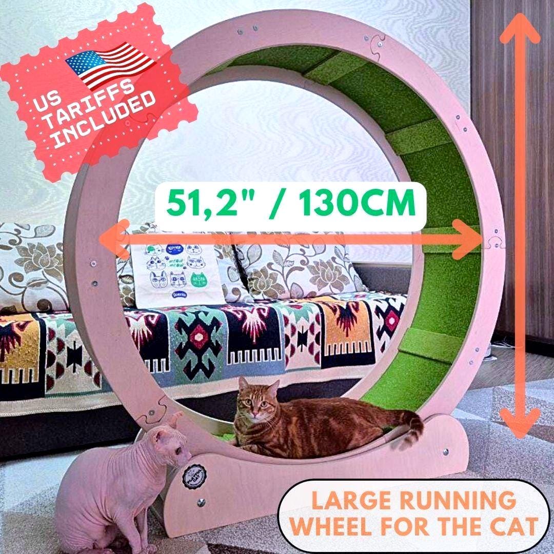 Large Plywood Cat Exercise Wheel 130 Cm/ 51,2" - Quiet Indoor Cat ...