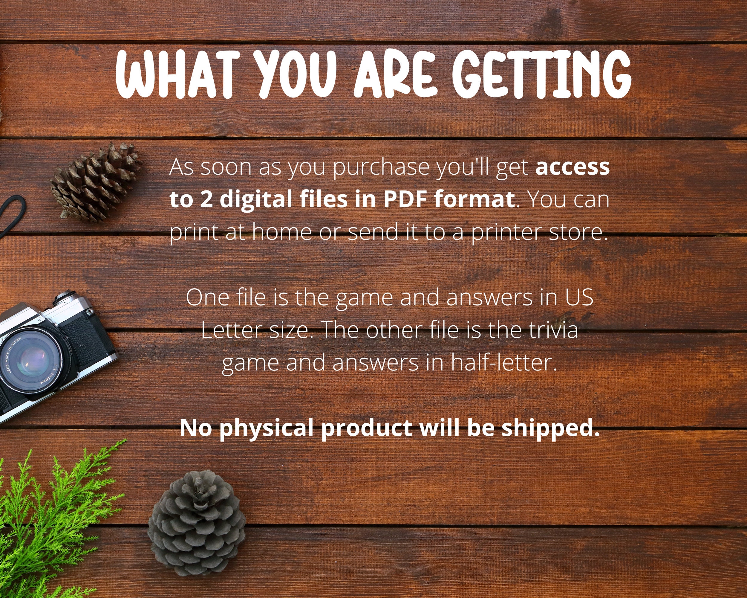 Campfire Trivia Printable; Camping Trivia Printable for Kids Camping ...