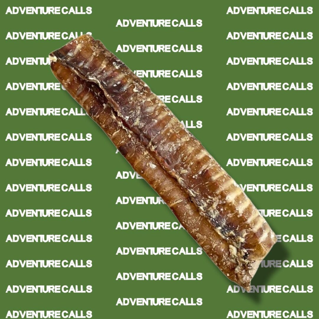 Large Beef Trachea Gullet Healthy Air-dried Beef Trachea Treats for ...