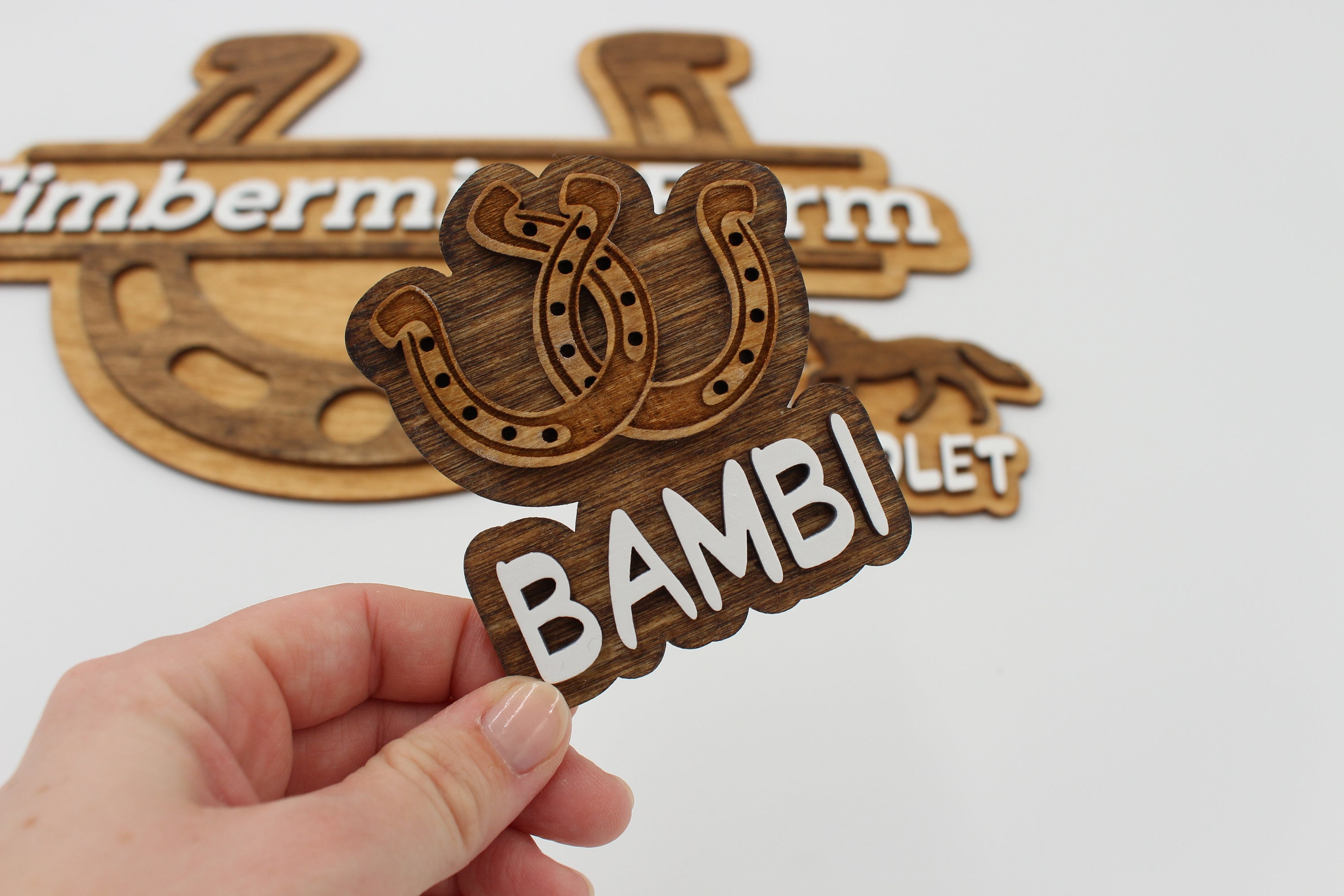 Personalized Horse Name Tag for Barn Tack Room, Barn Stable Wall Art ...