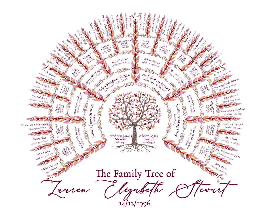 Fan Chart Family Tree 8 Colours Available - Etsy