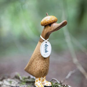 Woodland Folk Ducklings - Etsy