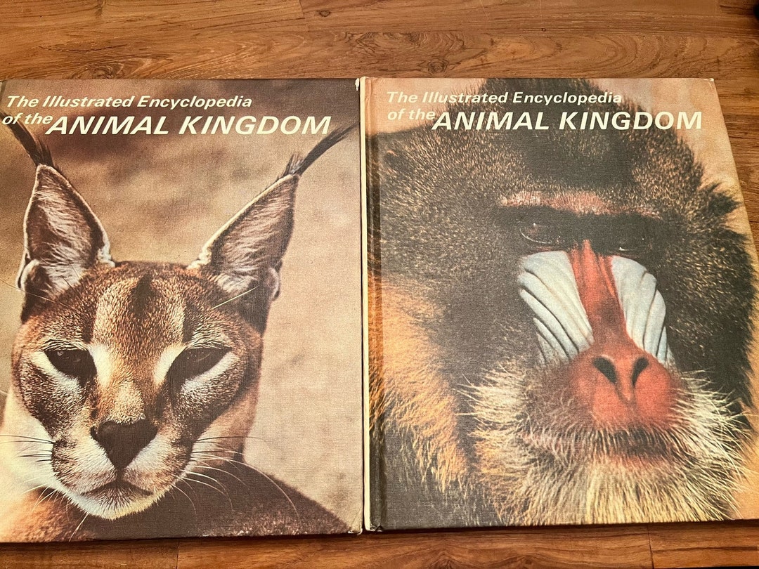 The Illustrated Encyclopedia of the ANIMAL KINGDOM Vol 1 & 2 Books ...