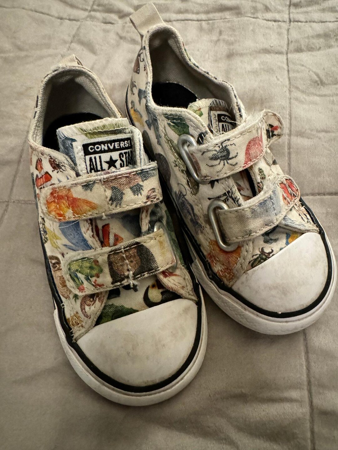 Toddler Converse All Star Animal Print Sneakers Size 8 - Etsy