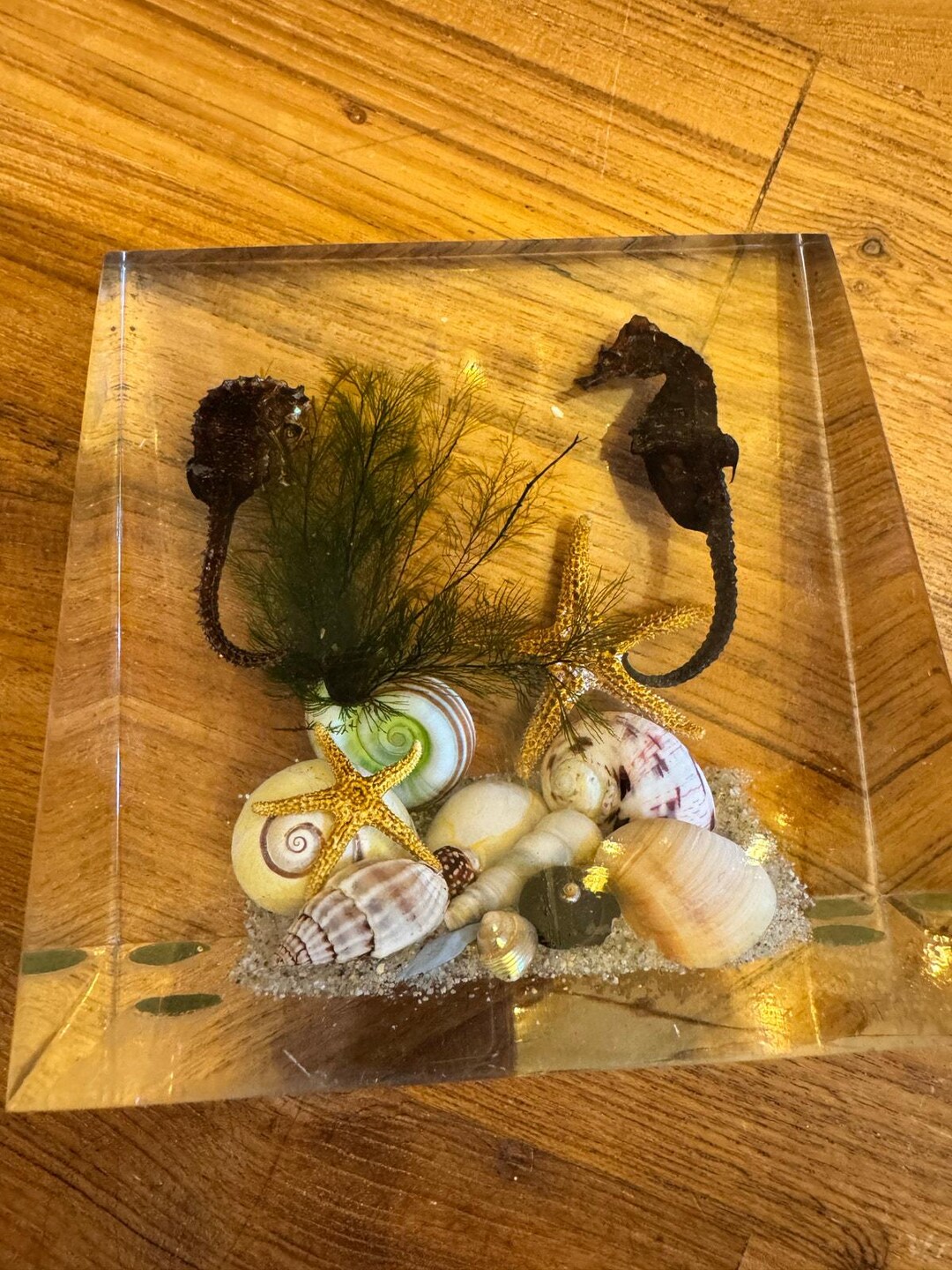 Vintage Clearfloat Lucite Seashells Seahorse Ocean Aquarium Bookend ...