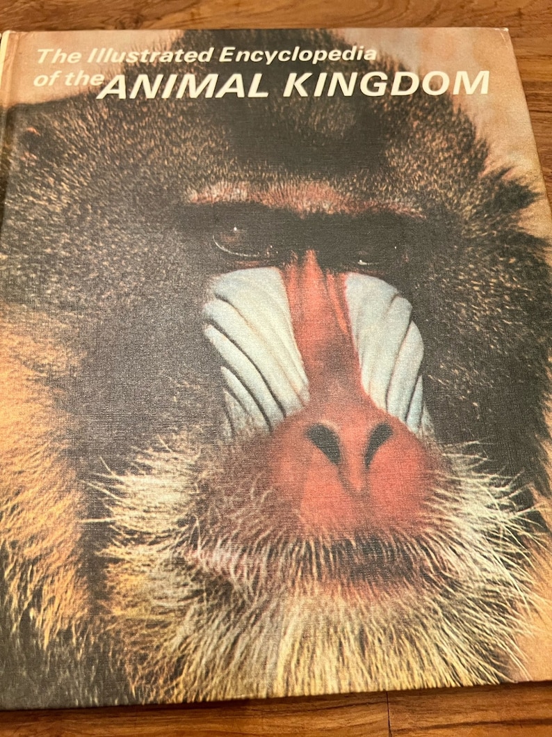 The Illustrated Encyclopedia of the ANIMAL KINGDOM Vol 1 & 2 Books ...