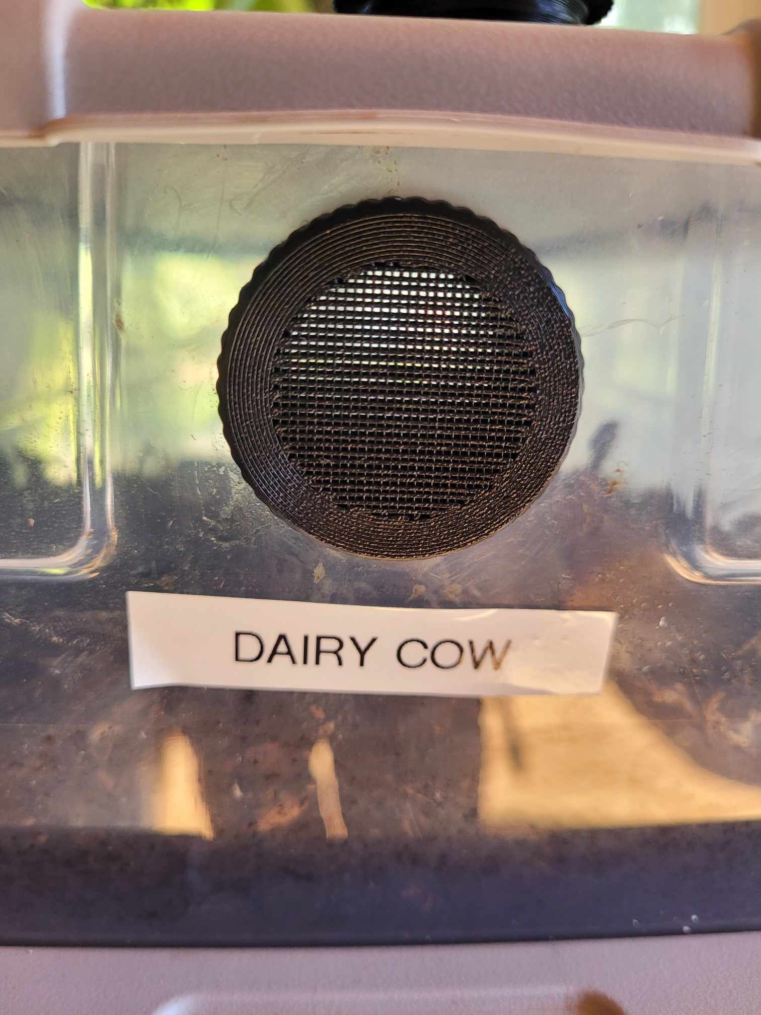 2 Pack Isopod Bin Vents - Etsy