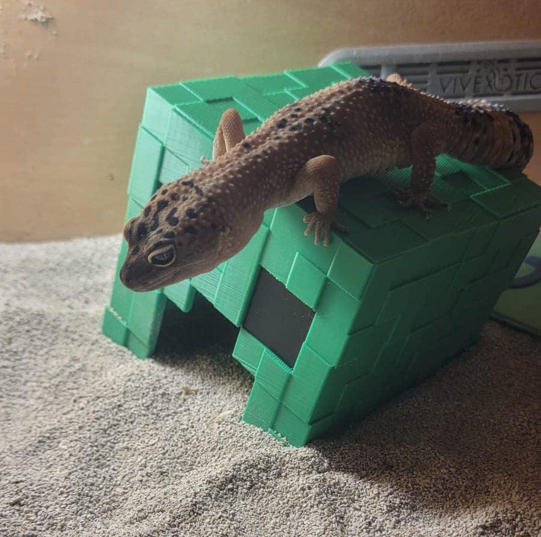 Minecraft Creeper Pet Hide - Etsy