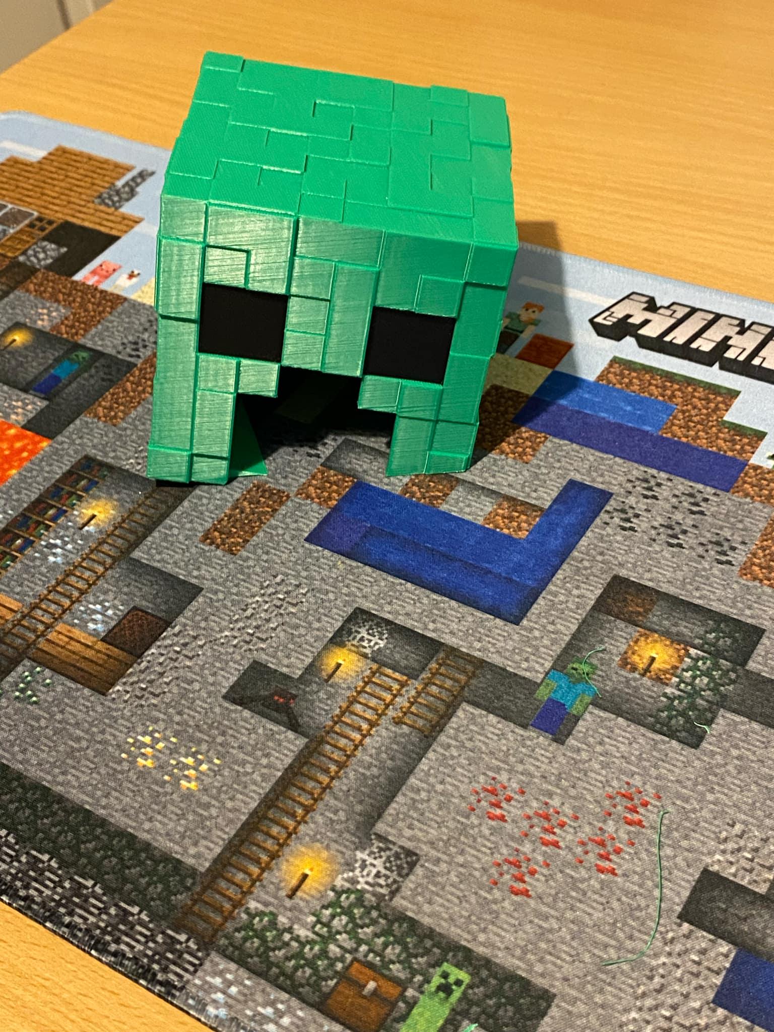 Minecraft Creeper Pet Hide - Etsy