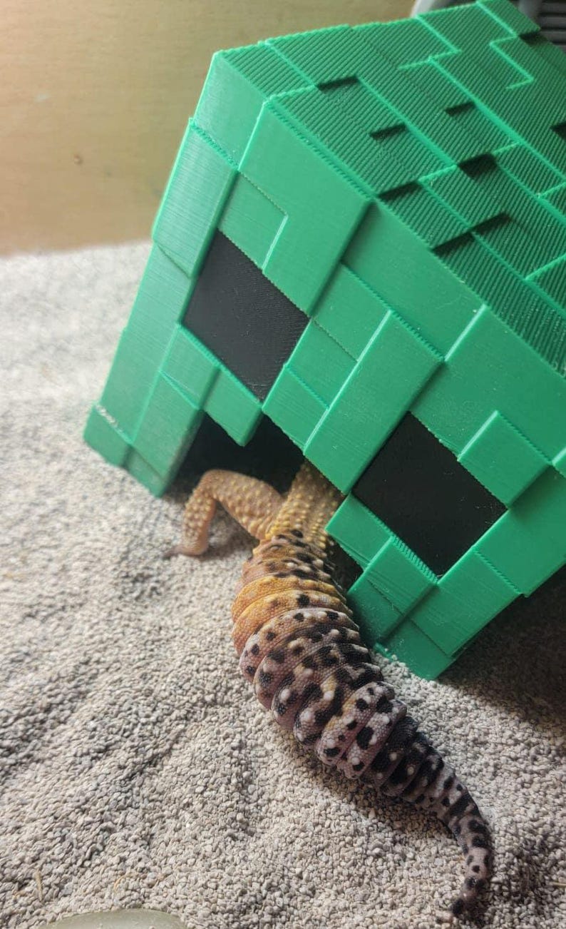 Minecraft Creeper Pet Hide - Etsy