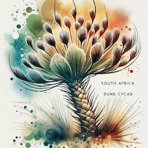 Endangered Species Collection, Cycad Art Print, African Plant Decor ...