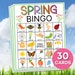 30 Spring Bingo Cards Printable Game, Spring Bingo Kids Classroom ...