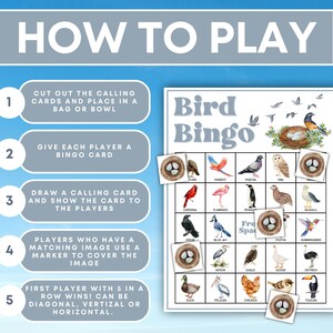 30 Bird Bingo Cards Printable Game, Bird Watching Bingo Activity Kids ...