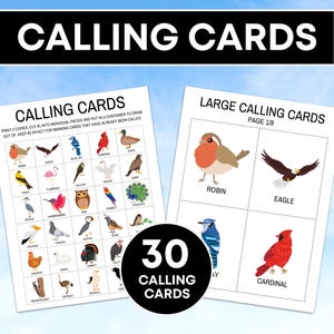 30 Bird Bingo Cards Printable Game, Bird Watching Bingo Activity Kids ...