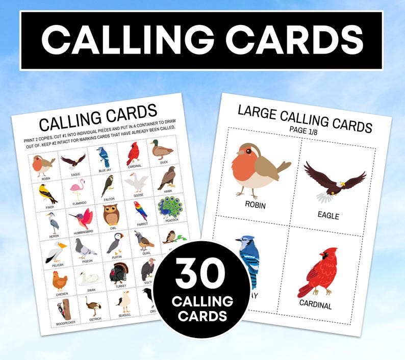 30 Bird Bingo Cards Printable Game, Bird Watching Bingo Activity Kids ...
