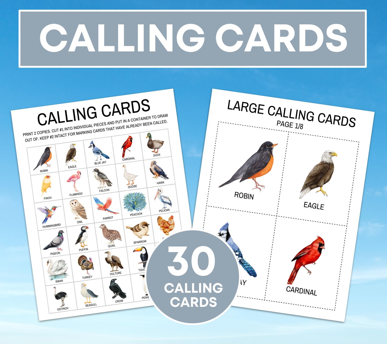 30 Bird Bingo Cards Printable Game, Bird Watching Bingo Activity Kids ...